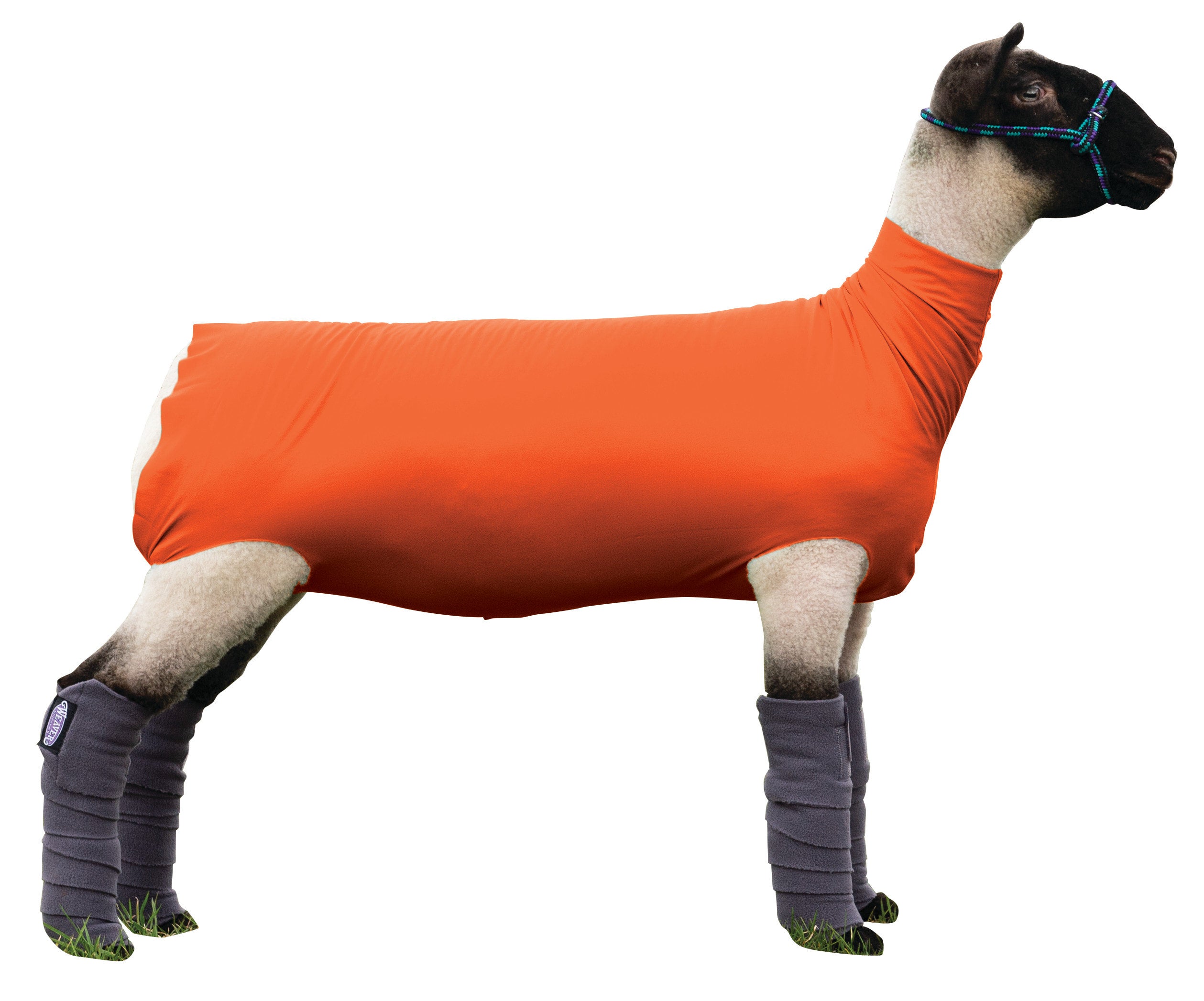 5ZTS7N7K4HSGXTWXCYWPJ333.jpeg 5ZTS7N7K4HSGXTWXCYWPJ333.jpeg
