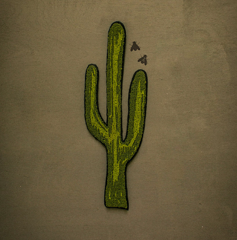 2 Fly Diy Cactus Patch Small City Limits Western